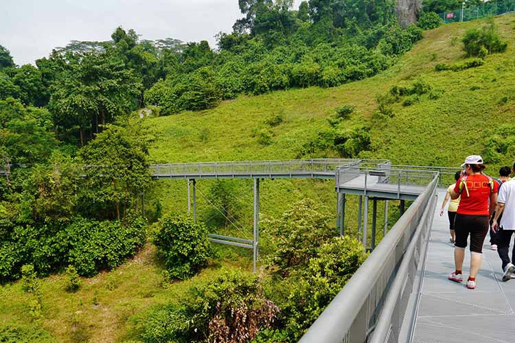 Singapore Hiking - Adventure of a lifetime you dare don’t miss