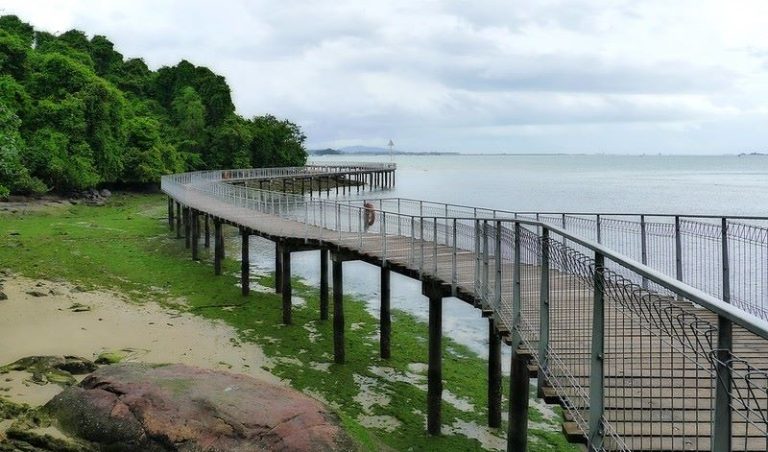 Things to do in pulau ubin | The Singapore Travel