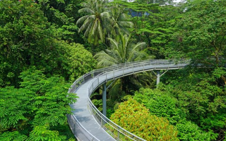 View of the Southern Ridges - Explore Singapore