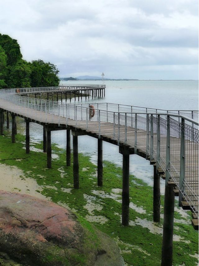 Chek Jawa - Explore Singapore